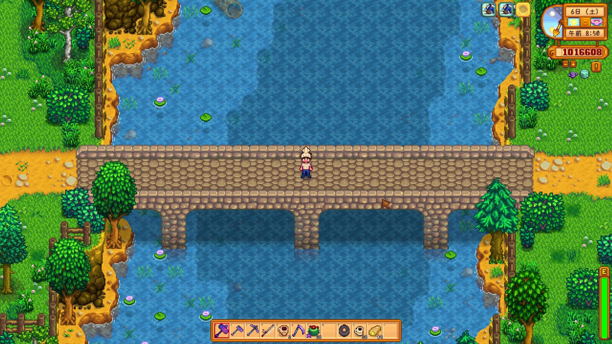 【スタバレ】Stardew Valley Expanded(SVE)の攻略 | スターデューバレーの攻略