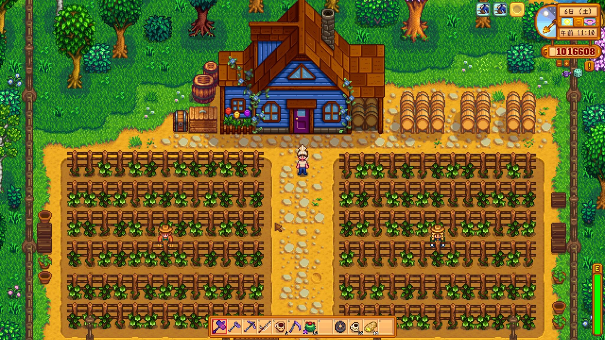 【スタバレ】Stardew Valley Expanded(SVE)の攻略 | スターデューバレーの攻略