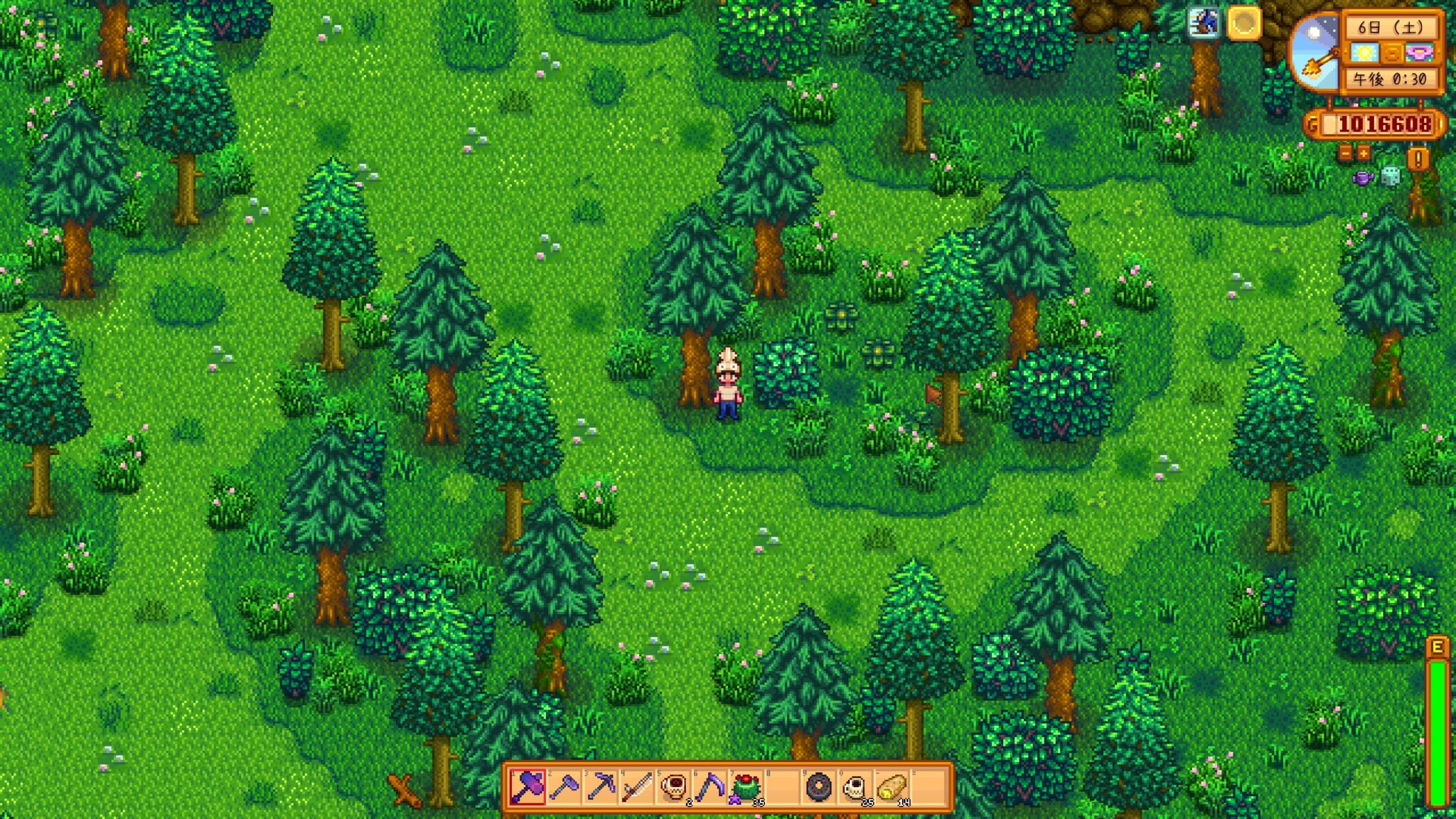 【スタバレ】Stardew Valley Expanded(SVE)の攻略 | スターデューバレーの攻略